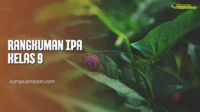 Rangkuman Materi PAI Kelas 8 Kurikulum Merdeka & 2013