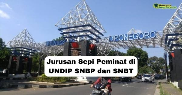 Jurusan Sepi Peminat UNDIP Peluang Lolos SNBP SNBT 2025