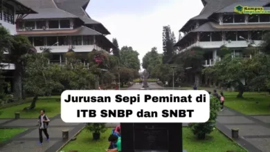 Jurusan Sepi Peminat UNSRI Peluang Lolos SNBP dan SNBT 2024