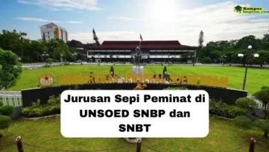 Jurusan Sepi Peminat UNSRI Peluang Lolos SNBP dan SNBT 2024