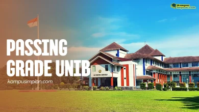 Passing Grade UI 2024/2025 + Daya Tampung