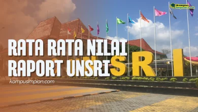 Rata Rata Nilai Raport SNBP Masuk UM 2024 - 2025