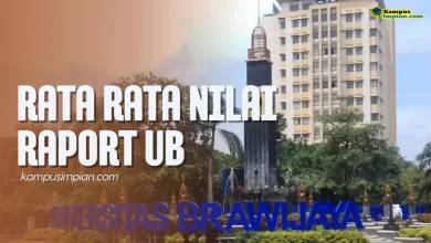Rata Rata Nilai Raport SNBP Masuk UINSA 2024 - 2025