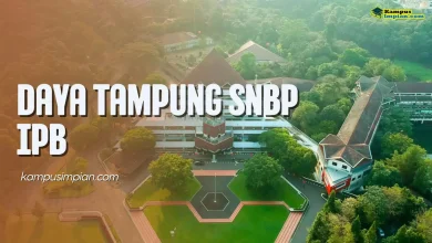 Daya Tampung SNBP UNMUL dan Peminatnya 2025 - 2026