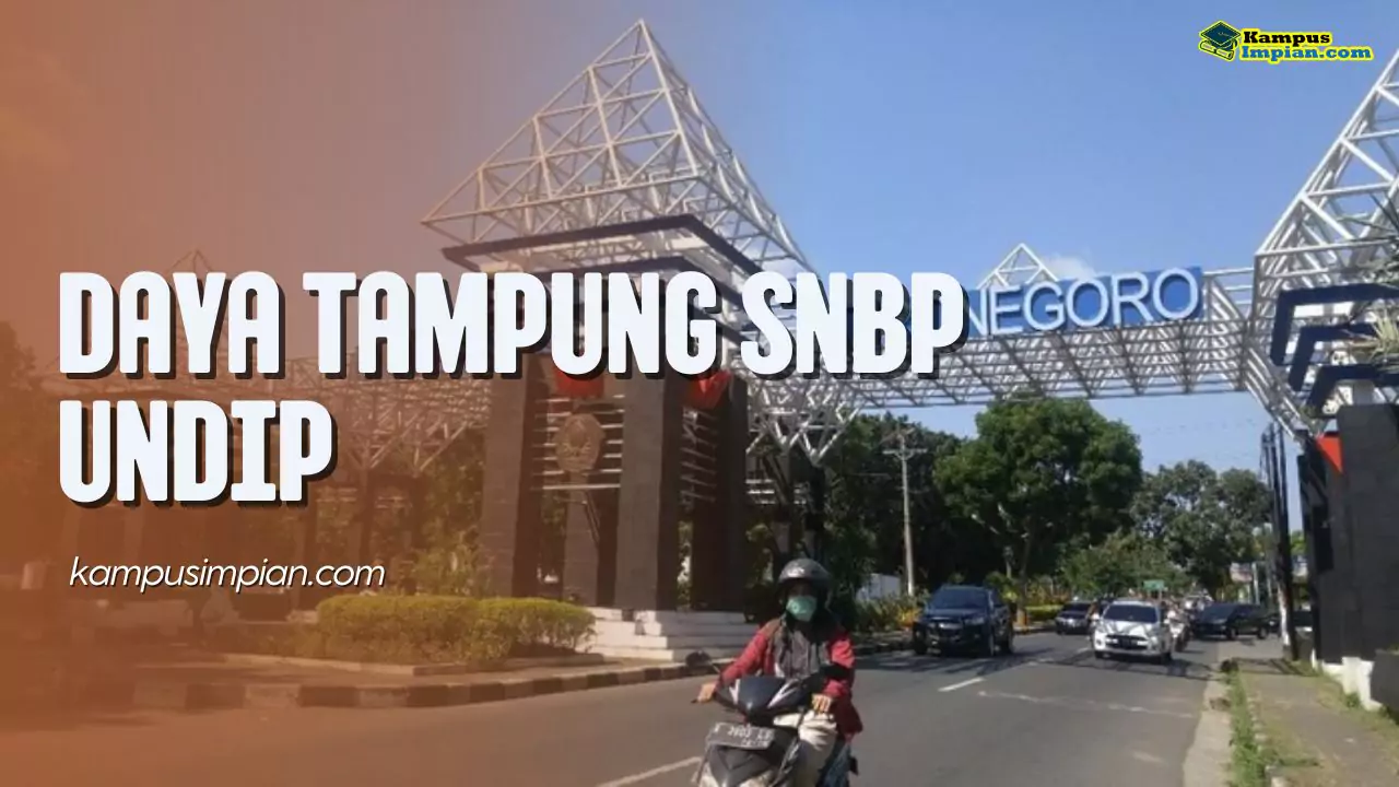 Daya Tampung SNBP UNDIP dan Peminatnya 2025 - 2026
