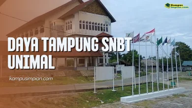 Daya Tampung SNBT ITB dan Peminatnya 2024 - 2025