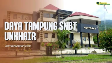 Daya Tampung SNBT UPI dan Peminatnya 2025 - 2026